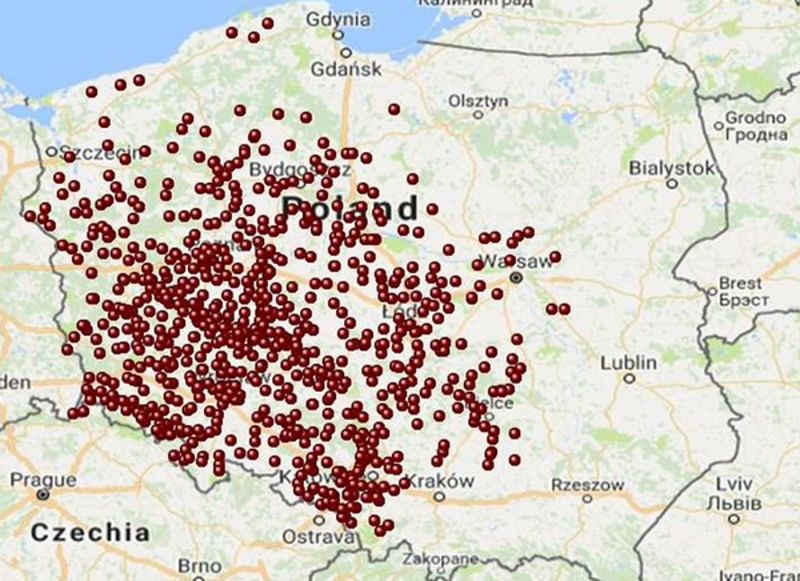 Dino otworzyło 25 nowych sklepów. Sieć liczy już 800 punktów - Money.pl